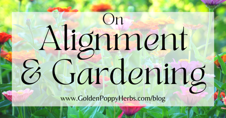 On Alignment & Gardening - Golden Poppy