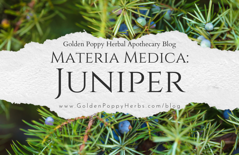 Juniper Materia Medica - Golden Poppy